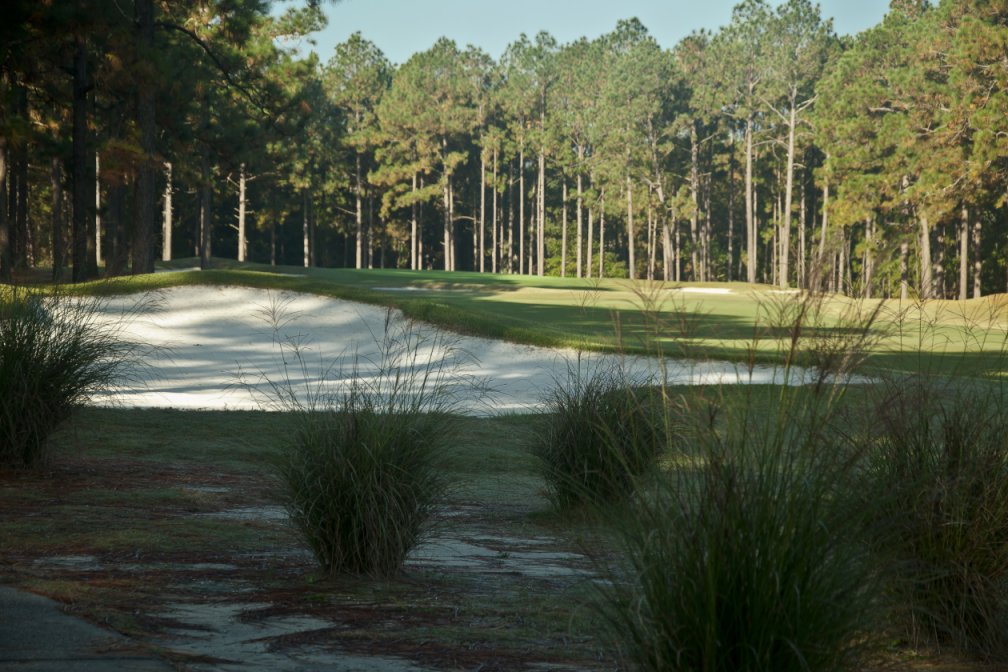 Golf North Carolina – North Carolina Golf Association