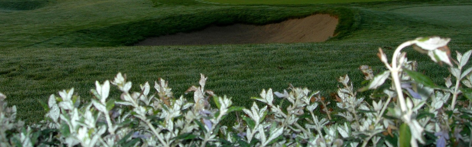 Anderson Creek Golf Club - Golf North Carolina